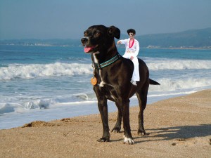 Humor: 24 Genios del Photoshop que llevaron su trabajo a OTRO nivel ...