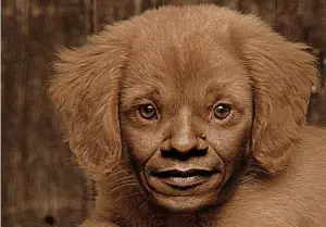 16 Imágenes PERTURBADORAS que fueron sacadas de nuestras peores ...