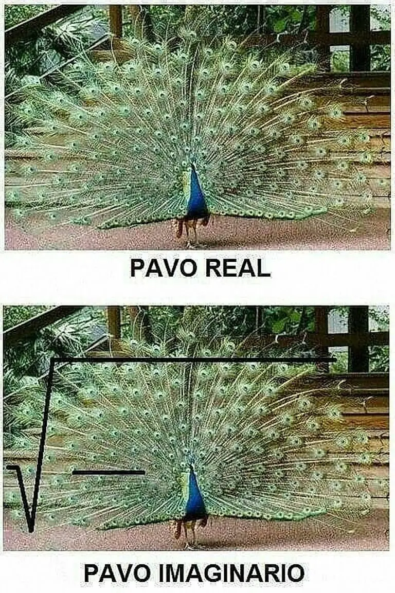 Humor: 28 Chistes “intelectuales” que sólo los más inteligentes ...