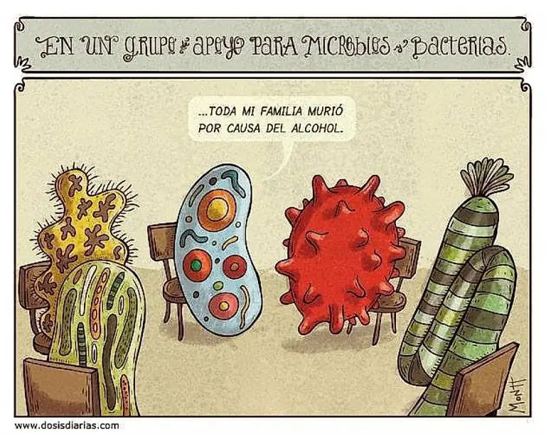 Humor: 28 Chistes “intelectuales” que sólo los más inteligentes ...