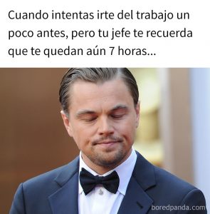 Humor: 20 Memes sobre jefes con los que te sentirás totalmente ...