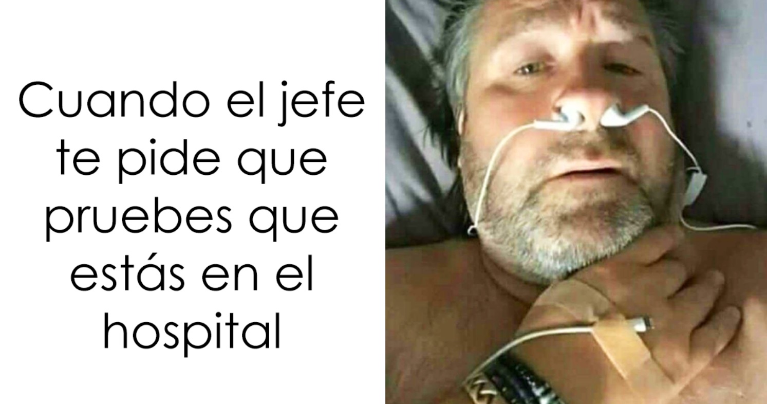 Humor: 20 Memes sobre jefes con los que te sentirás totalmente ...